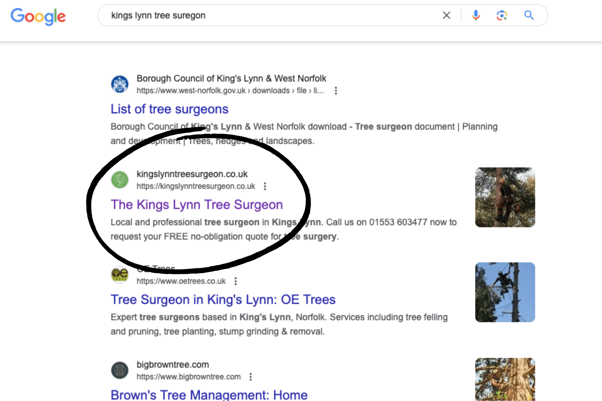 How to choose a tree surgeon?